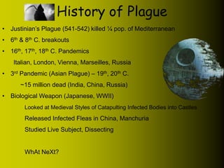BlackDeath_002.ppt | Infectious Diseases | Diseases and Conditions
