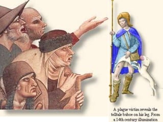 BlackDeath_002.ppt | Infectious Diseases | Diseases and Conditions