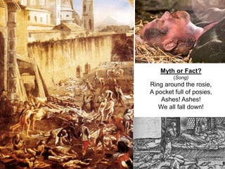 BlackDeath_002.ppt | Infectious Diseases | Diseases and Conditions