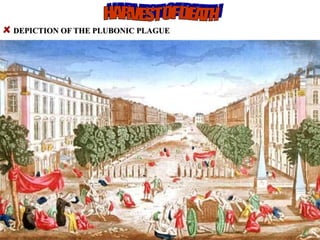 BlackDeath_002.ppt | Infectious Diseases | Diseases and Conditions