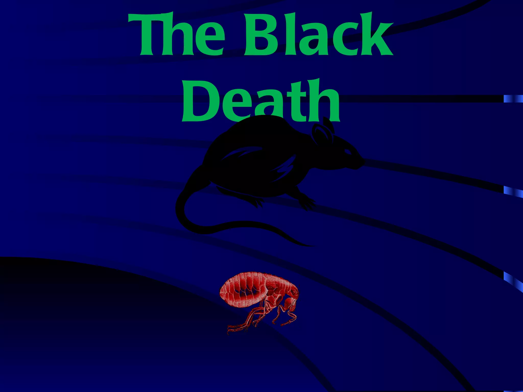 Black death & 100 years war | PPT