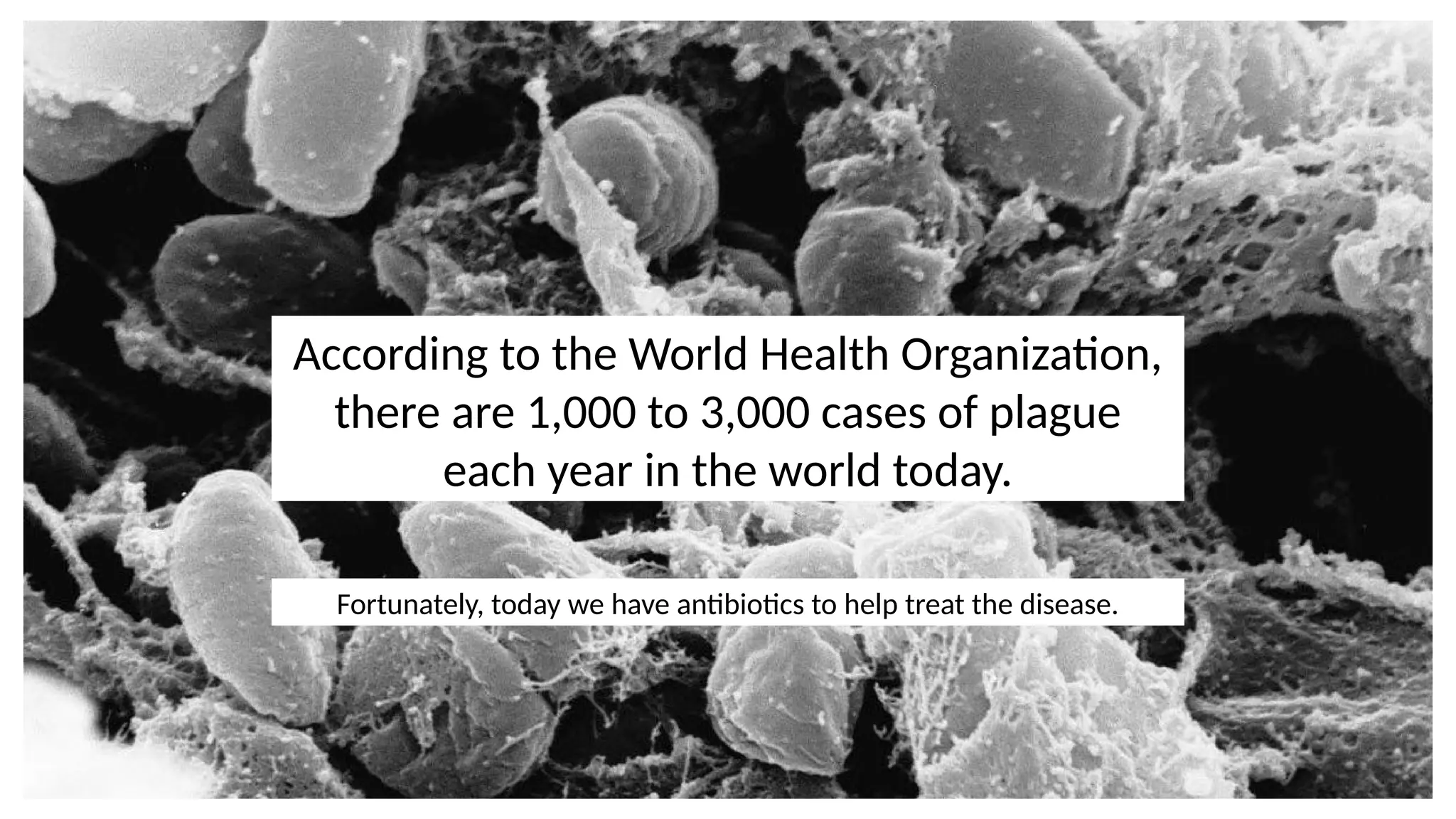 BlackDeathIntroductiontotheGreatPlague-1.pptx