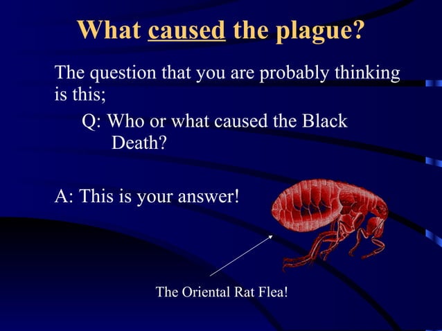 Black death powerpoint | PPT | Infectious Diseases | Diseases and ...
