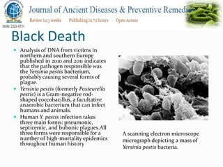 Black Death and plague: a new understanding | PPTX