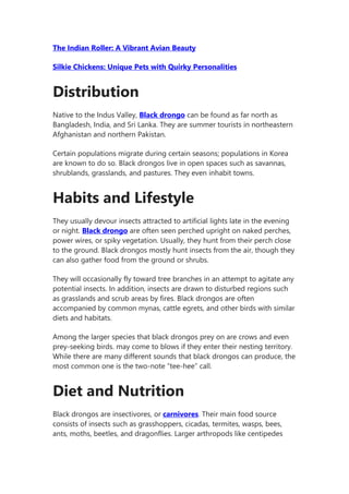 Black Drongo.pdf