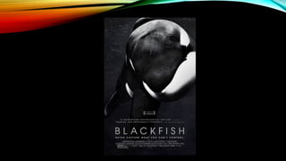 Blackfish | PPT