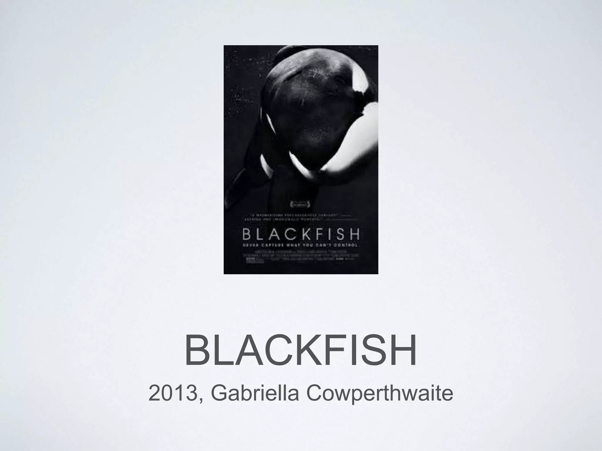 Black Fish Documentary Analysis | PPTX