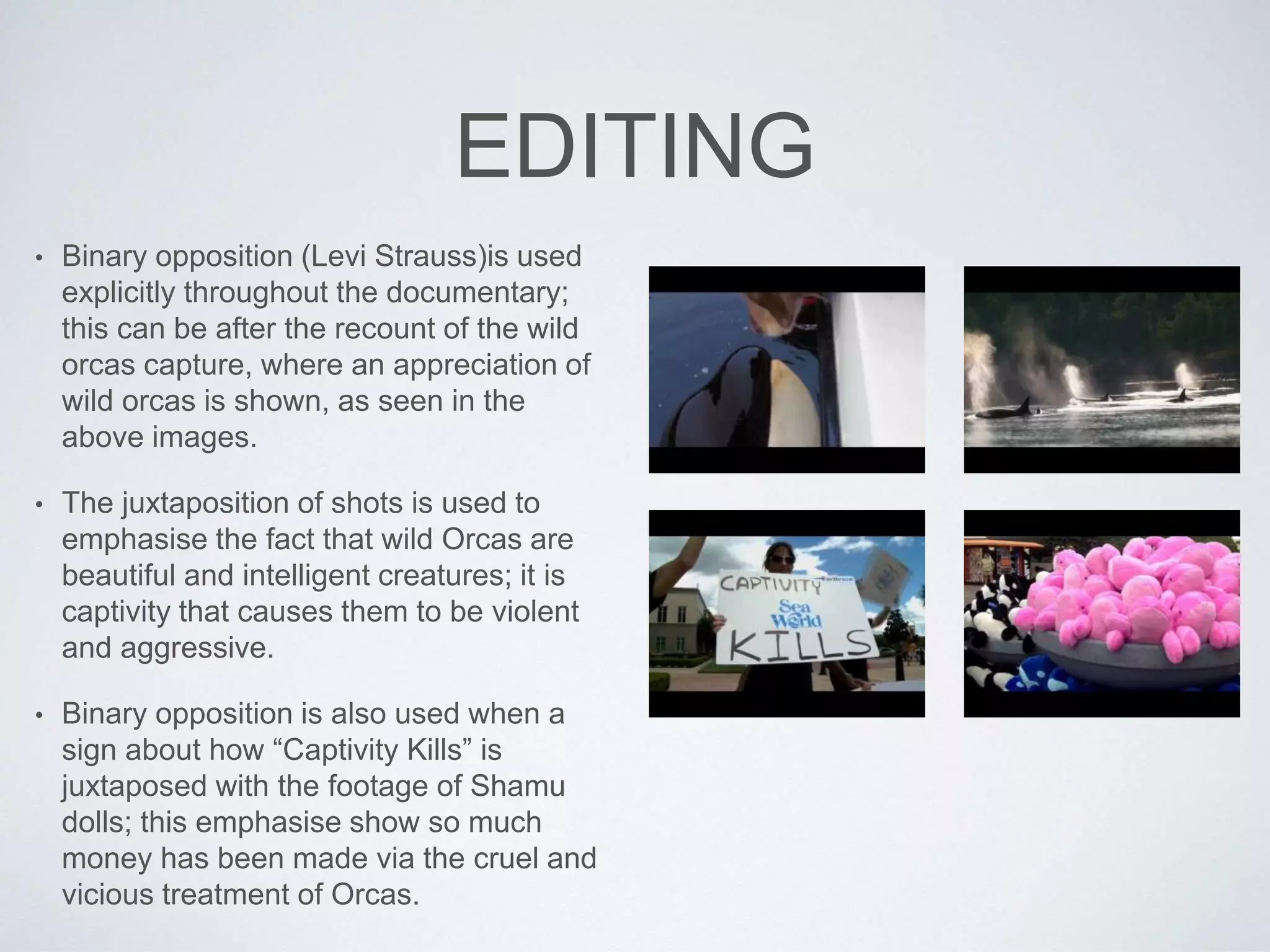 Black Fish Documentary Analysis | PPTX