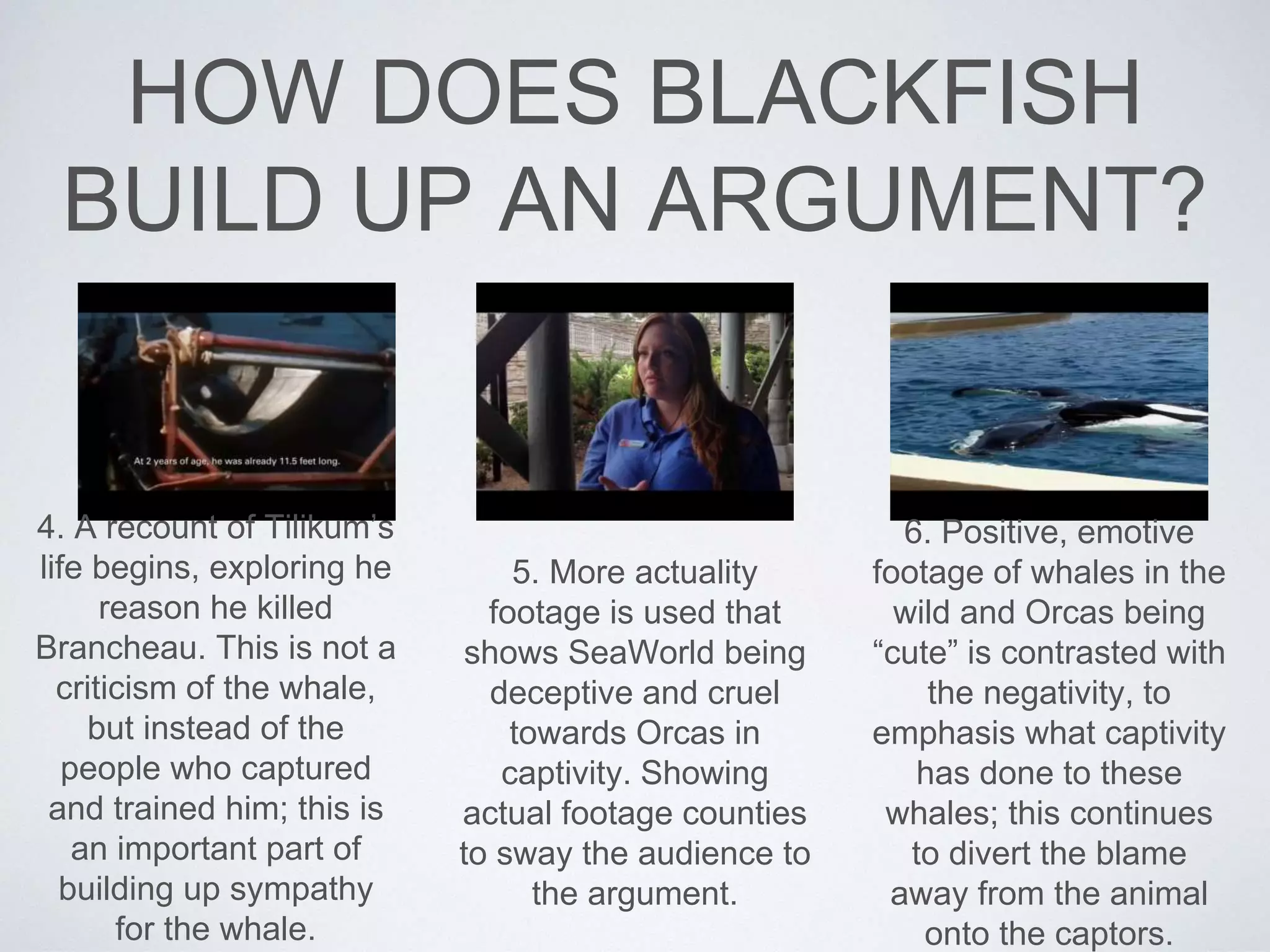 Black Fish Documentary Analysis | PPTX