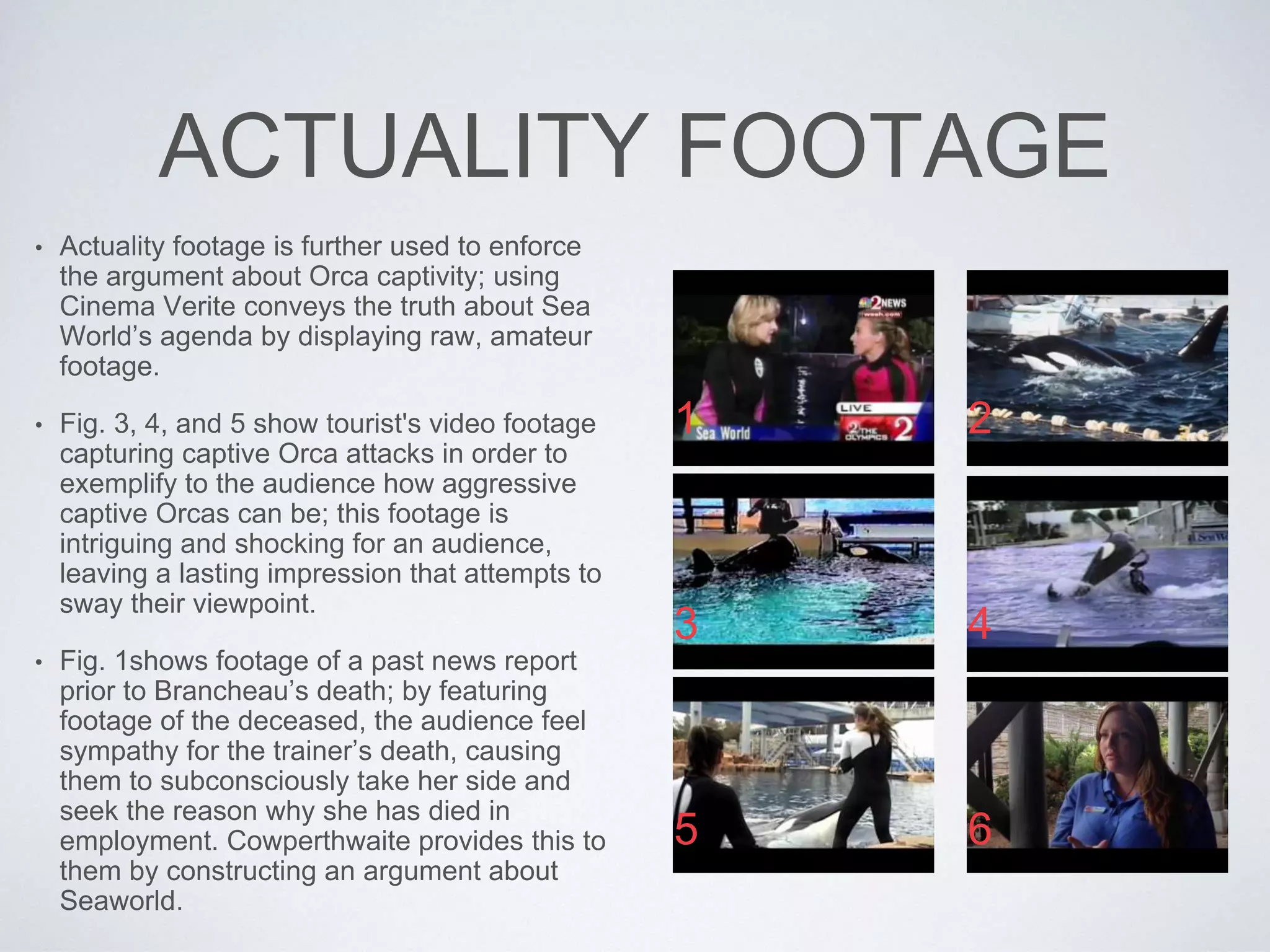 Black Fish Documentary Analysis | PPTX