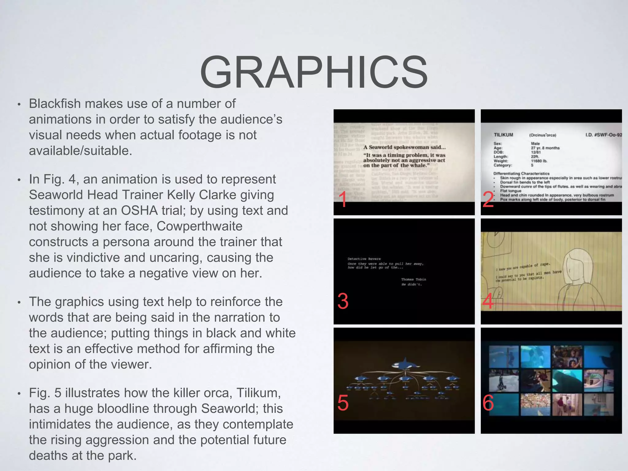 Black Fish Documentary Analysis | PPTX