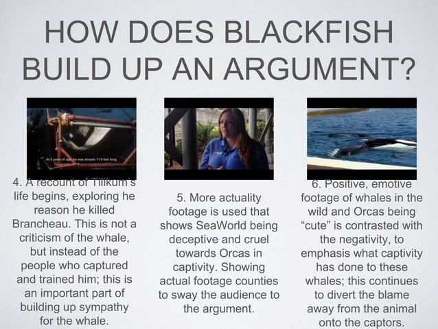 Black Fish Documentary Analysis | PPTX | Documentary | Genres