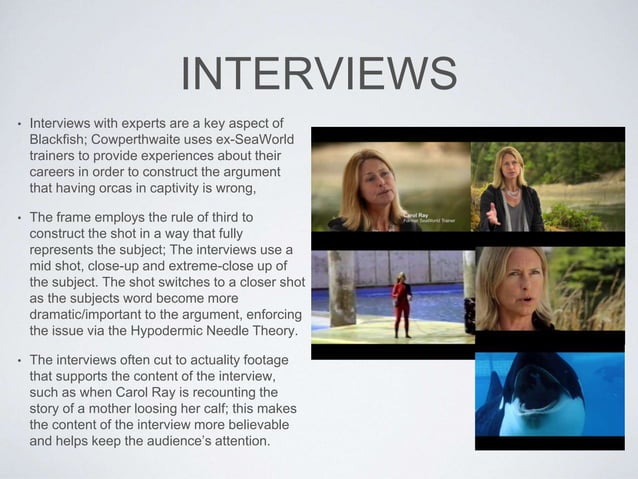 Black Fish Documentary Analysis | PPTX | Documentary | Genres