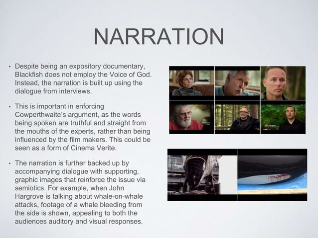 Black Fish Documentary Analysis | PPTX | Documentary | Genres