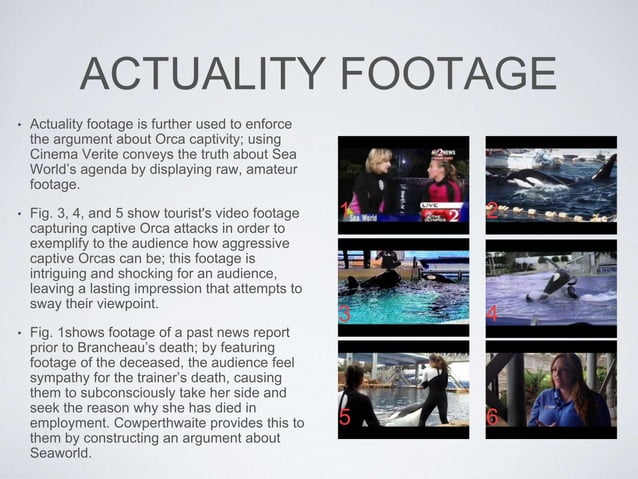 Black Fish Documentary Analysis | PPTX | Documentary | Genres