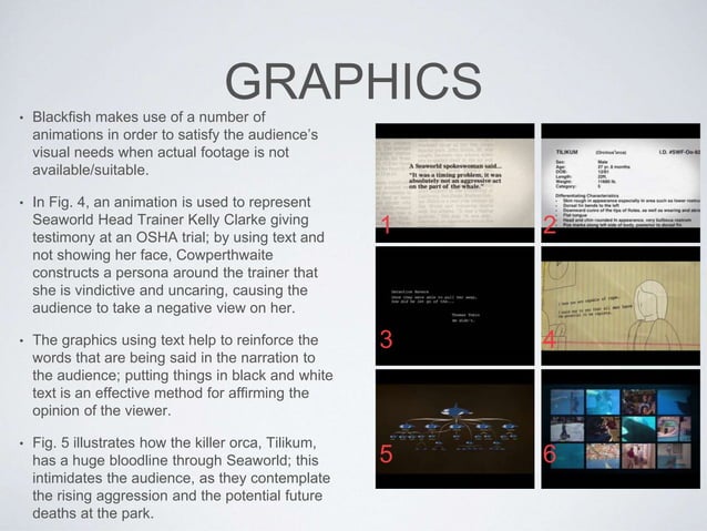 Black Fish Documentary Analysis | PPTX | Documentary | Genres