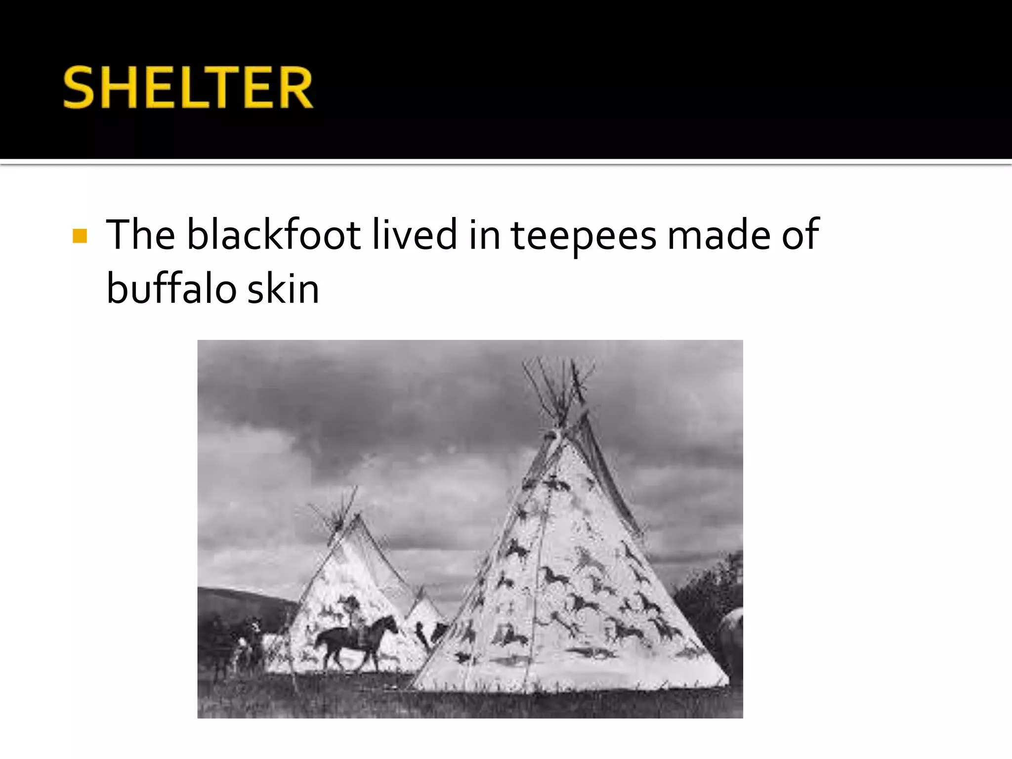 Blackfoot tribe | PPTX