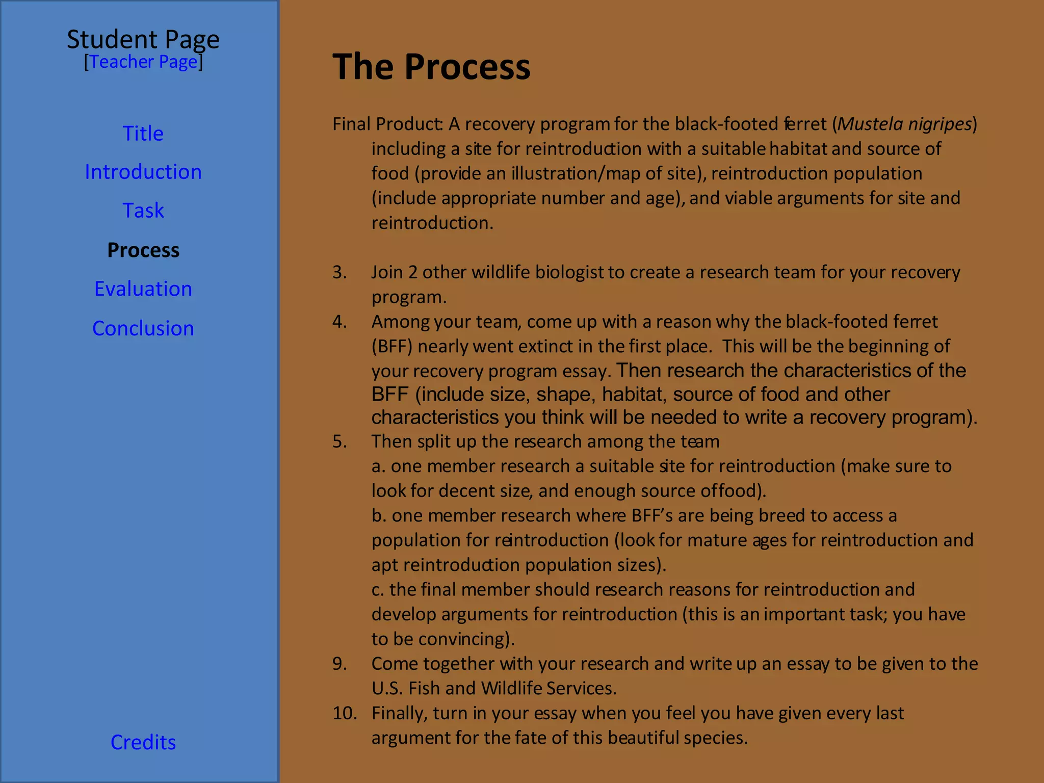 Black Footed Ferret Webquest | PPT