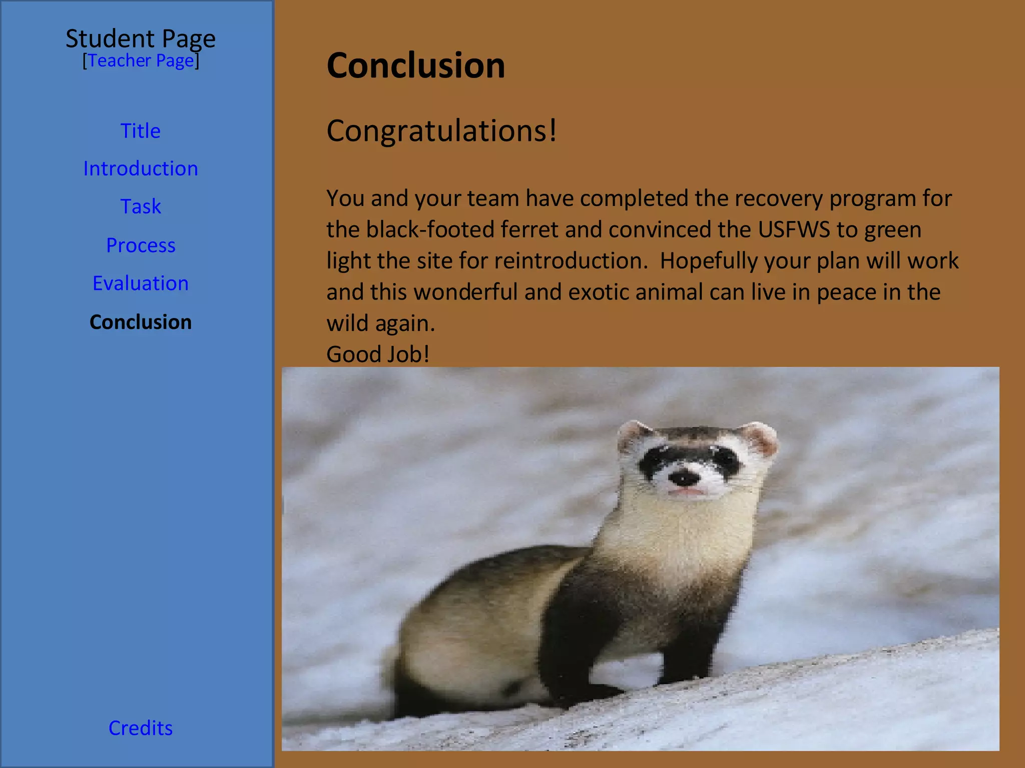 Black Footed Ferret Webquest | PPT