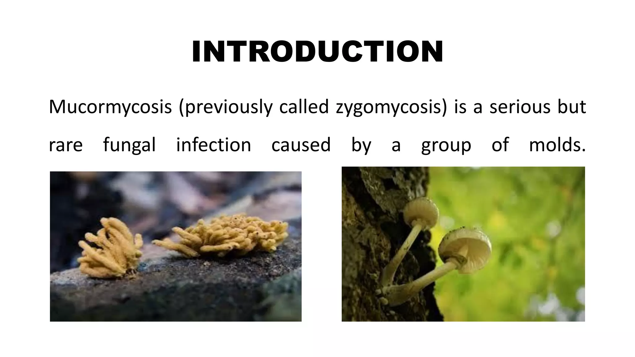 Black fungus #mucormycosis #cutaneous (skin) mucormycosis # ...