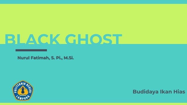 BLACK GHOST - Nurul Fatimah.pptx