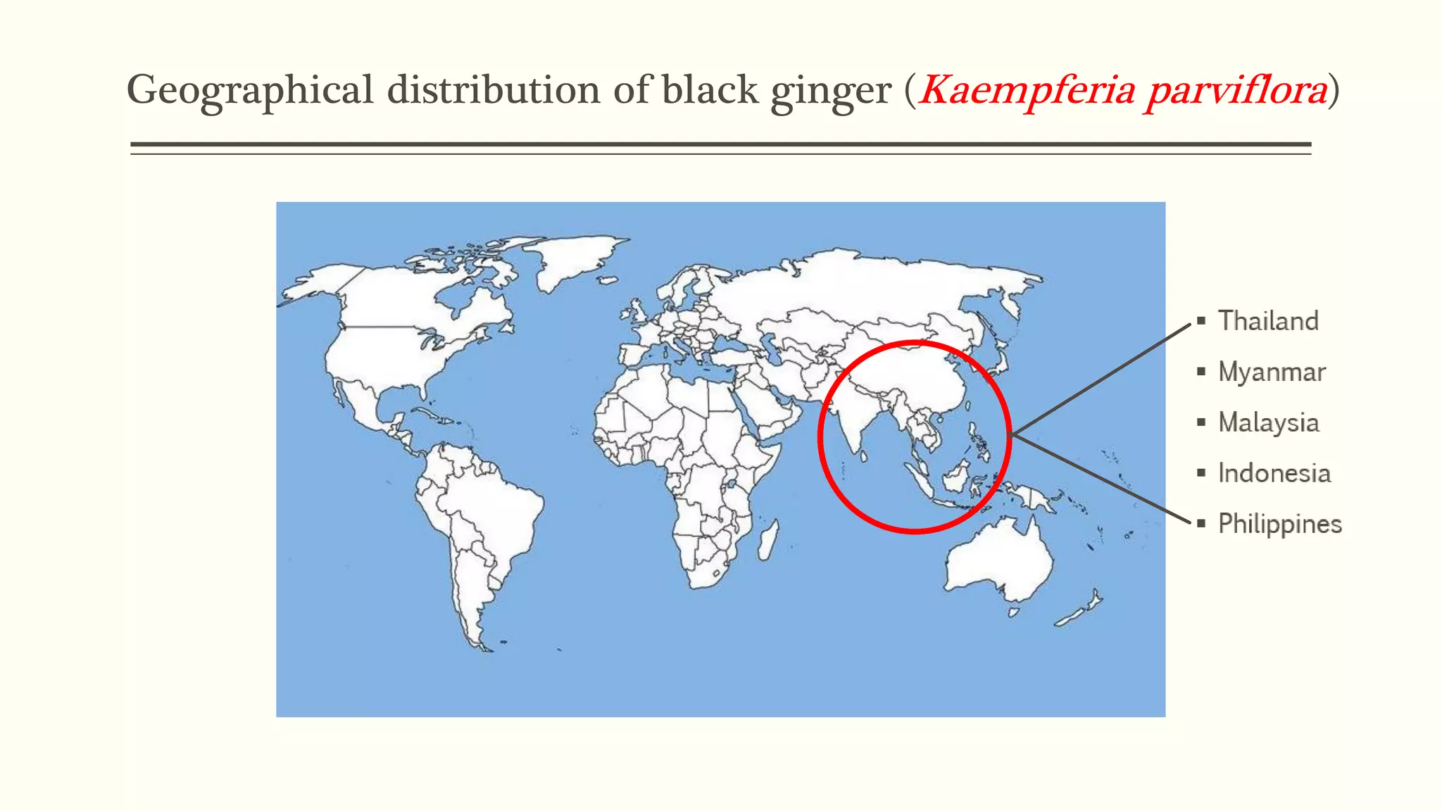 Food as Medicine: Black ginger, Kaempferia parviflora | PDF