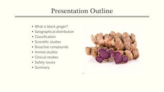 Food as Medicine: Black ginger, Kaempferia parviflora | PDF