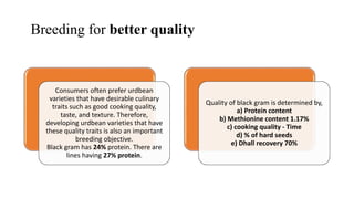 Blackgram breeding objective.pptx