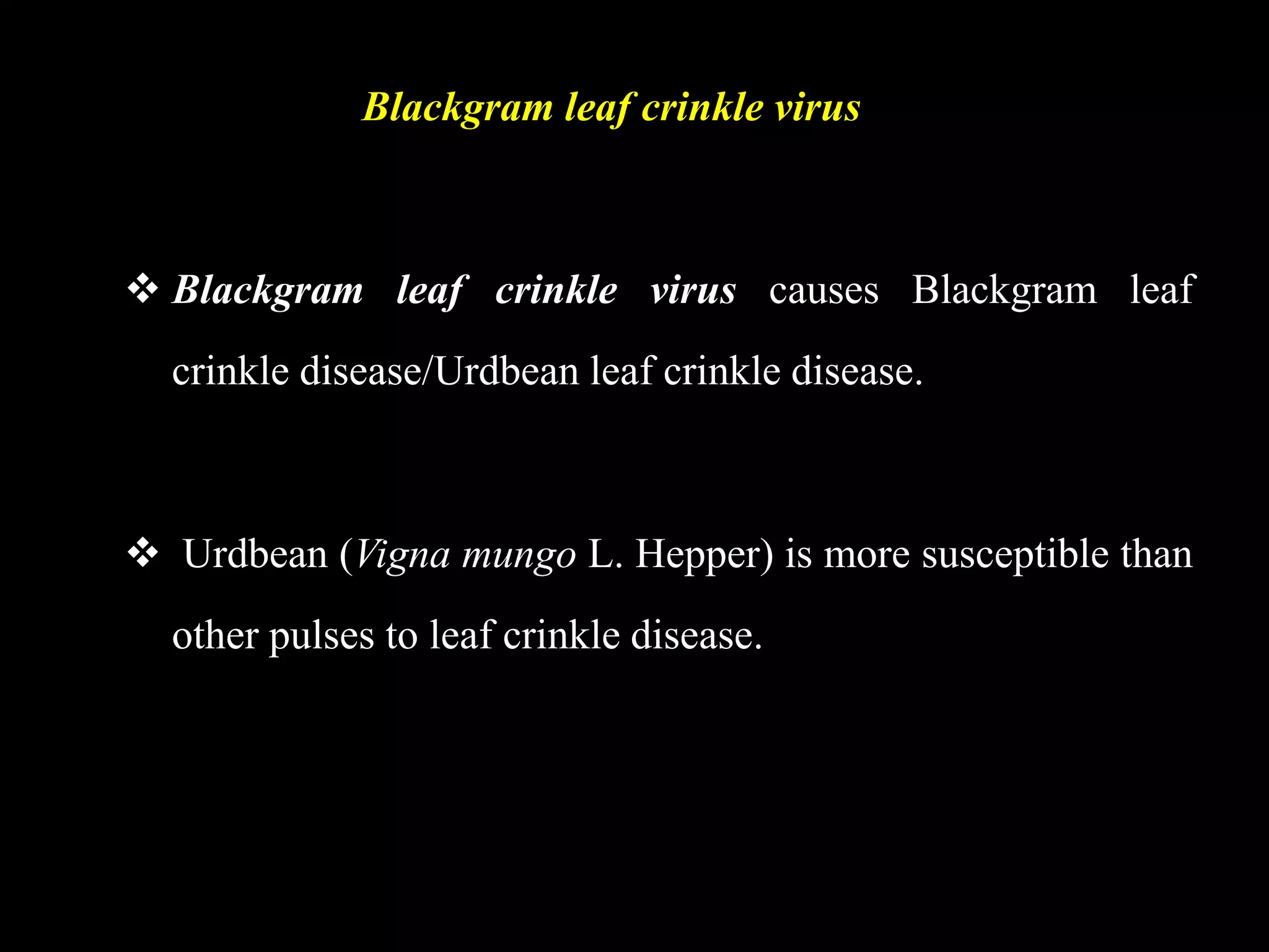 Blackgram leaf crinkle virus and Blackgram leaf curl virus | PPTX