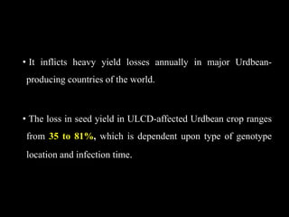Blackgram leaf crinkle virus and Blackgram leaf curl virus | PPTX