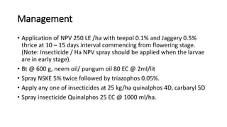 blackgram pl.protec..pptx