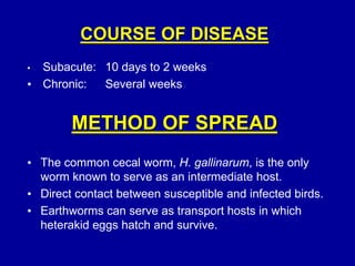 Blackhead histomoniasis in turkey and.ppt