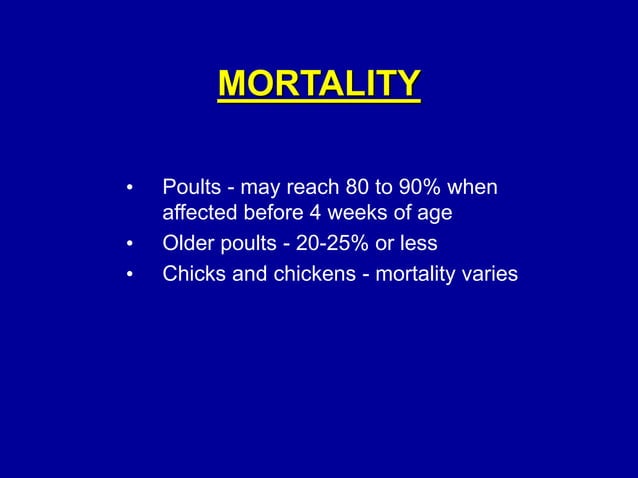 Blackhead histomoniasis in turkey and.ppt