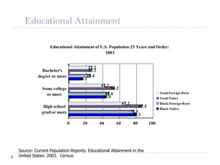 Variations of Black Identity | PPTX