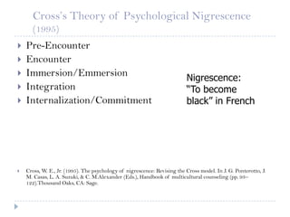 Variations of Black Identity | PPTX