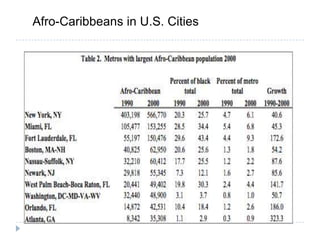 Variations of Black Identity | PPTX