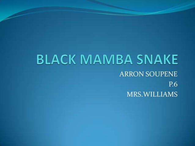 Black mamba snake | PPT