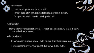 Morfologi dan Struktur Kromosom, serta Kelainan Kromosom | PPTX