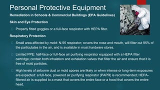 Black Mold: How Bad Is It? | PPTX