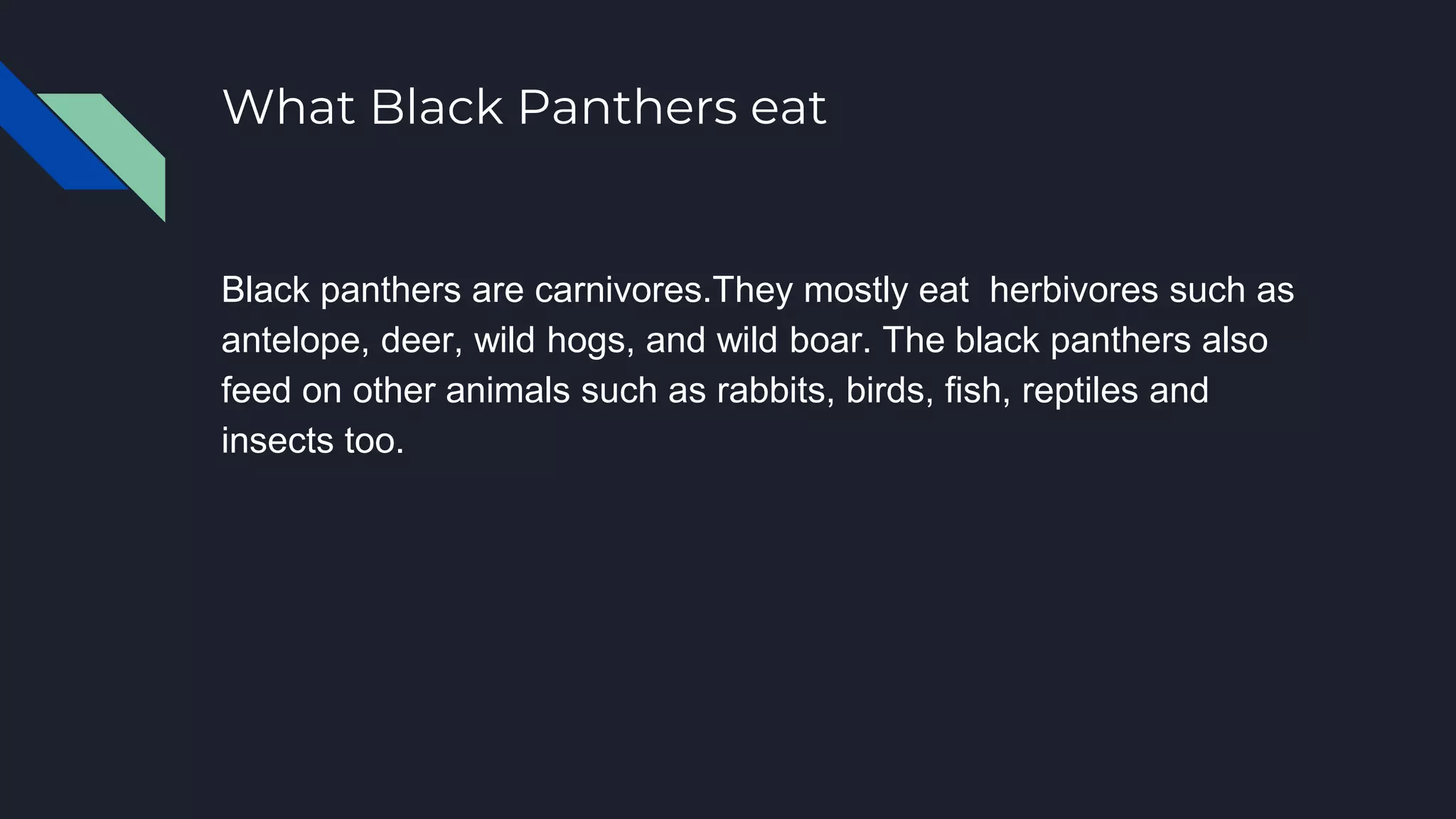 Black Panther | PPTX