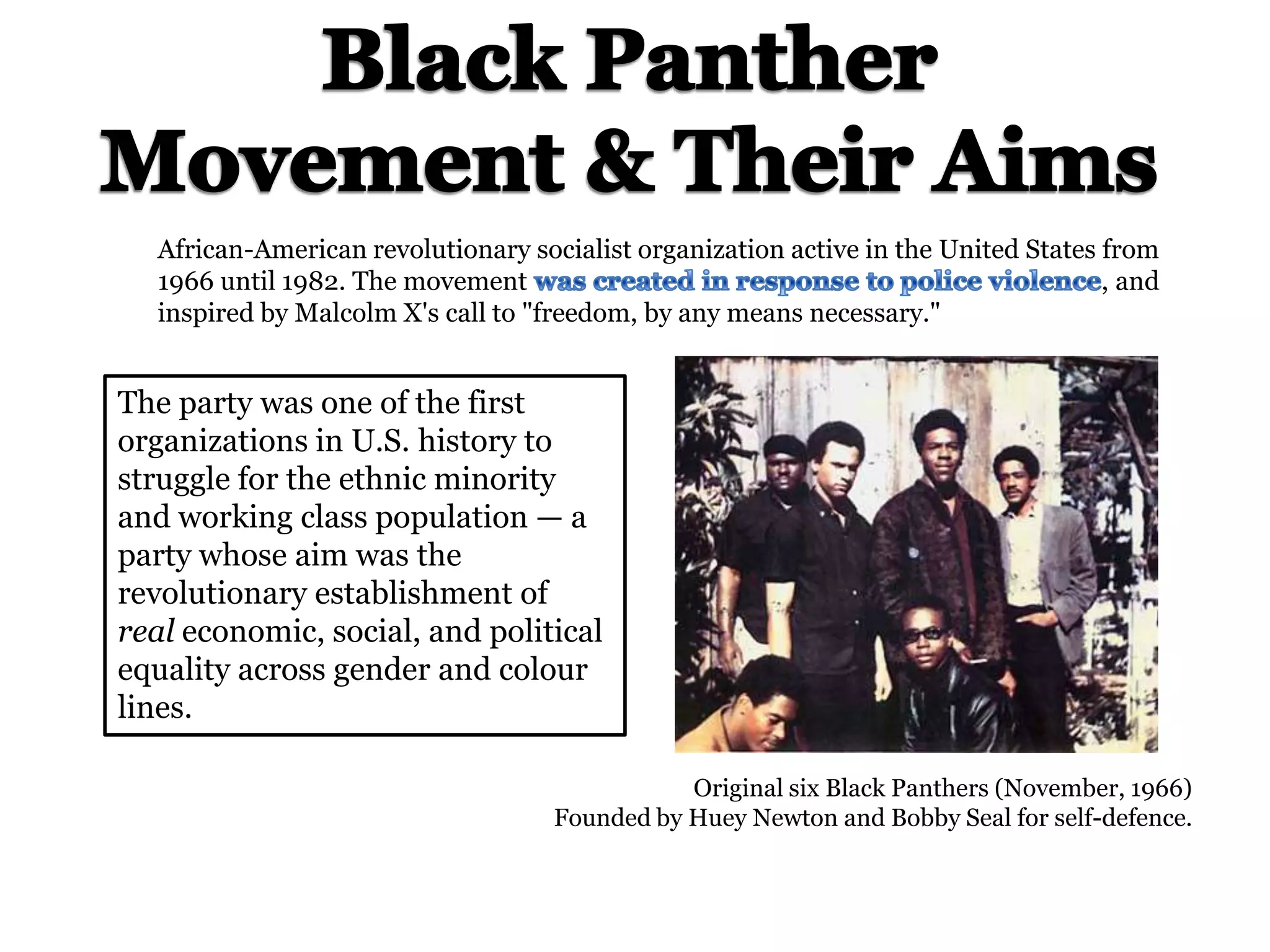 Black panther movement | PPTX | Politics