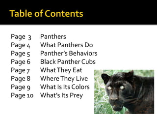 Black panthers #3 | PPTX