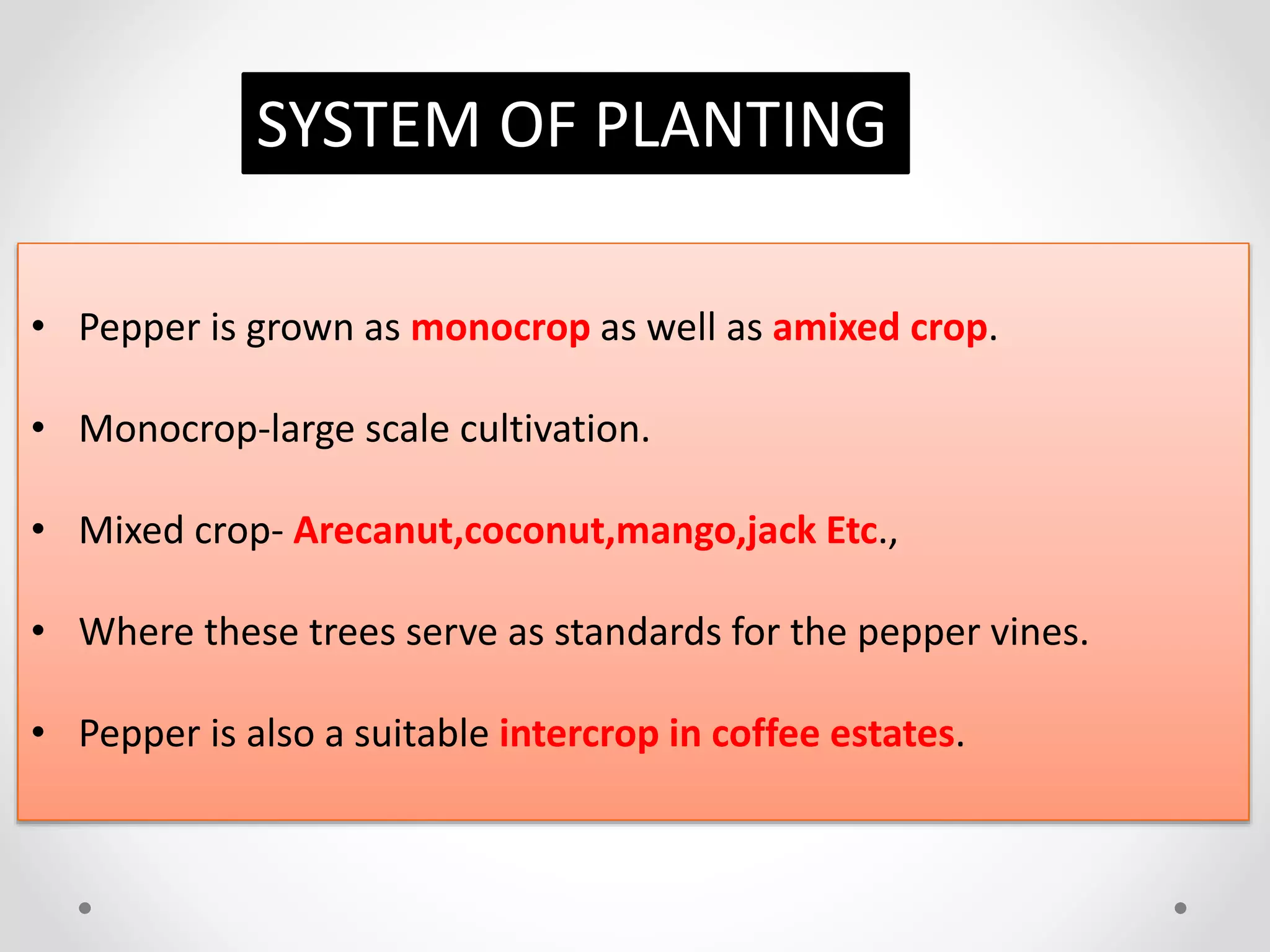 PRODUTION TECHNOLOGY OF BLACK PEPPER | PPTX