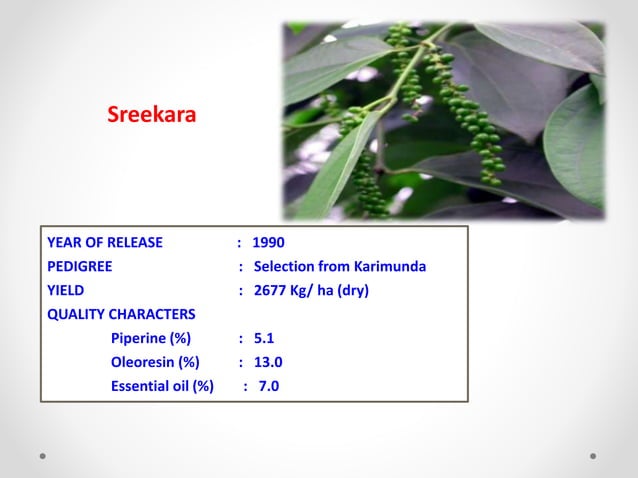 PRODUTION TECHNOLOGY OF BLACK PEPPER | PPTX | Gardening | Home & Garden