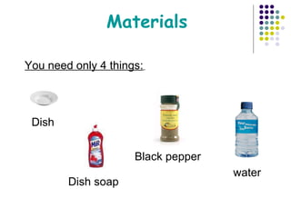 Black pepper and dish soap experiments2 | PPT