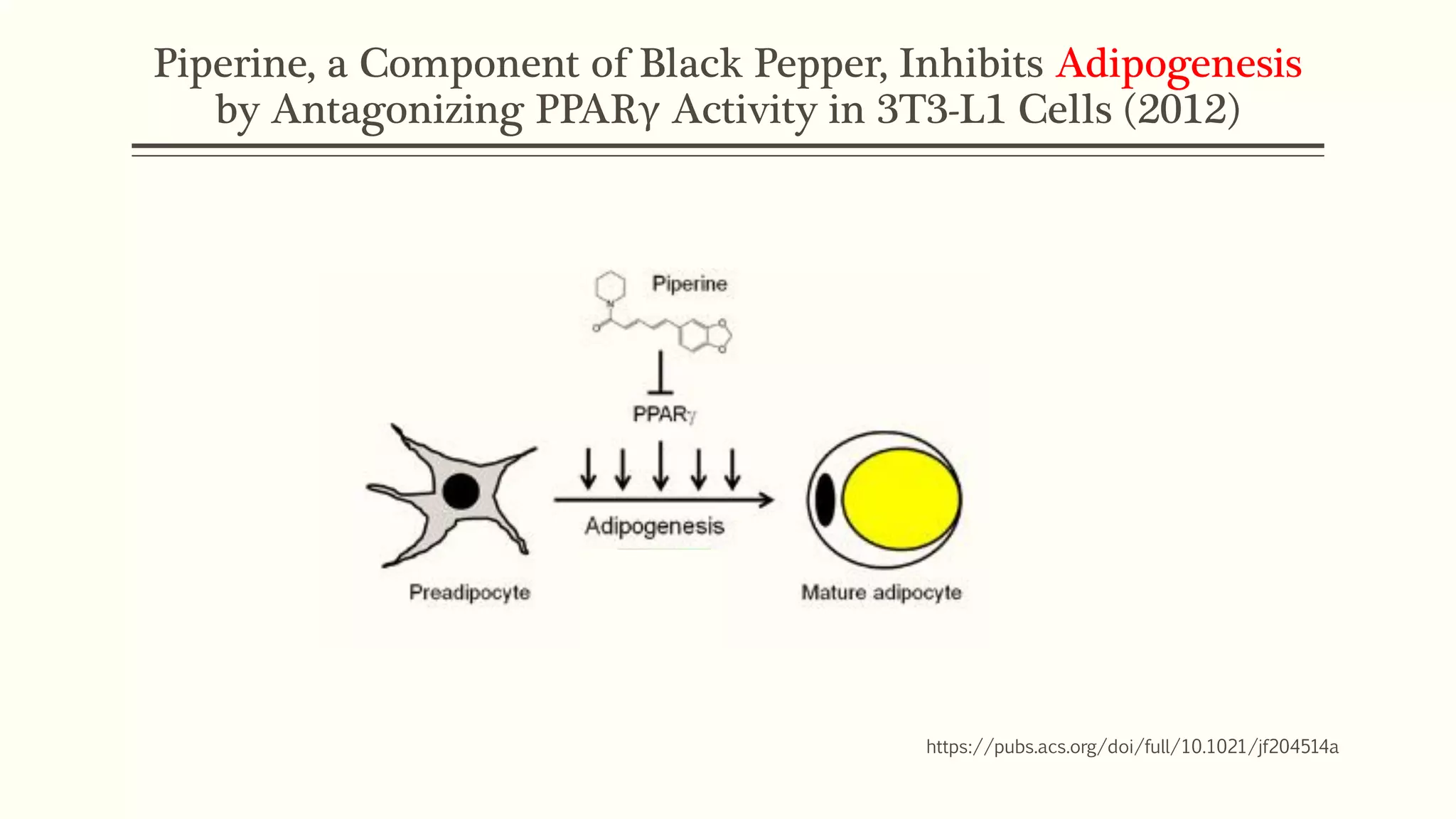 Spice as Medicine: Black Pepper, Piper nigrum | PDF