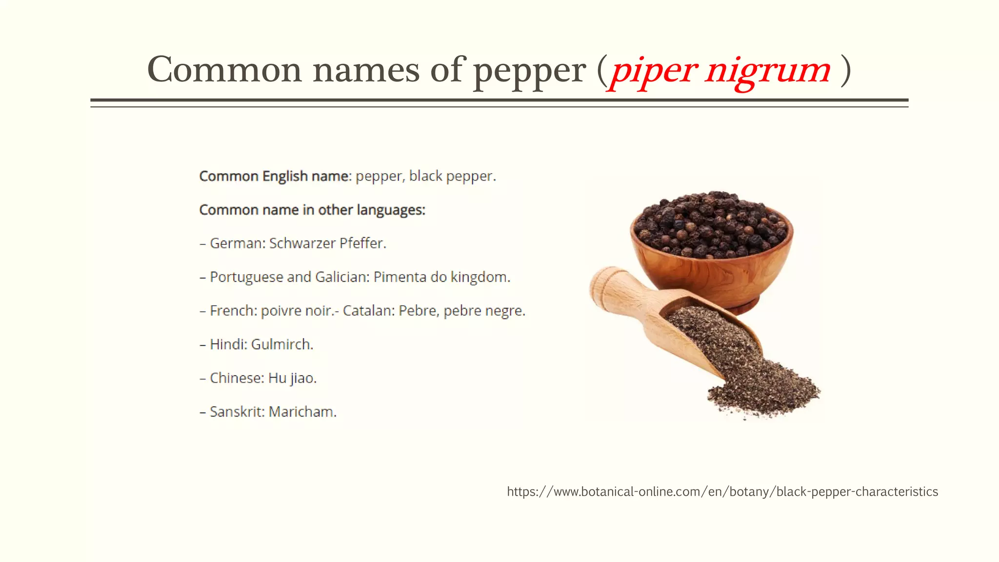 Spice as Medicine: Black Pepper, Piper nigrum | PDF