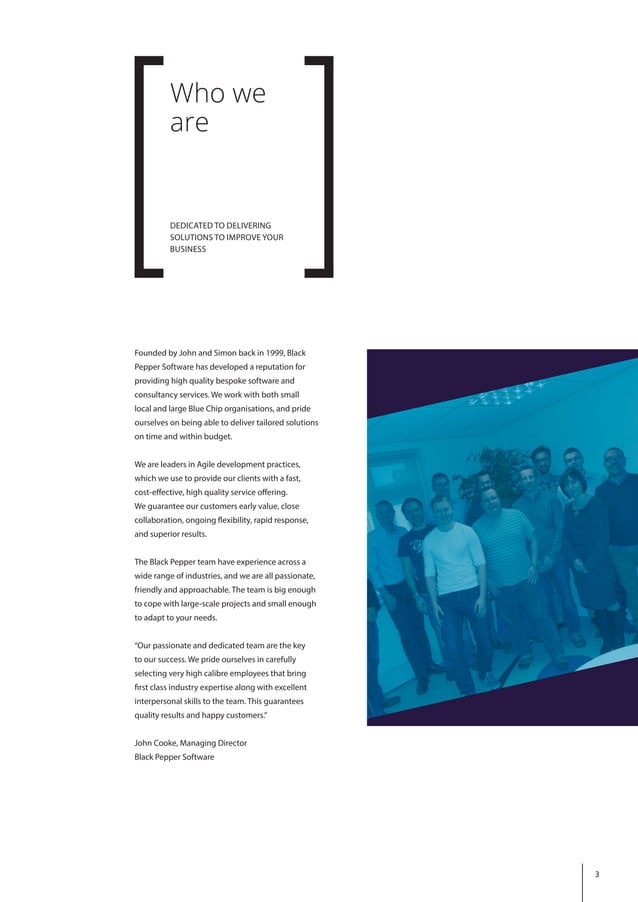 Black Pepper Software Corporate Brochure 2014 | PDF | Computer Software and Applications | Computing