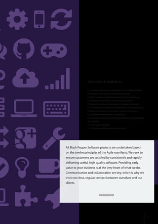 Black Pepper Software Corporate Brochure 2014 | PDF | Computer Software and Applications | Computing