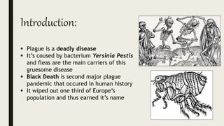 Black Plague.pptx